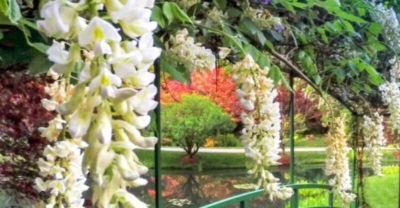 North Atlanta: Gibbs Gardens Self-Guided Slingshot Tour - Who Will Enjoy This Tour?