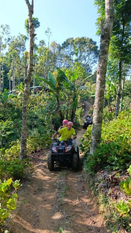 North Bali: ATV Ride, Jungle Trek, and Waterfall Jumping - What to Expect from the Tour