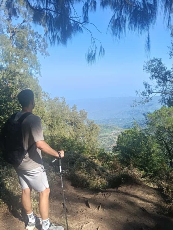 North Bali Authentic: Off-the-Beaten-Path Experience - Cultural Encounters and Local Flavors