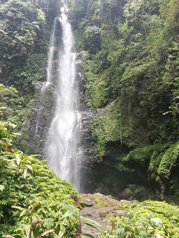 North Bali Authentic: Off-the-Beaten-Path Experience - Who Should Consider This Tour?