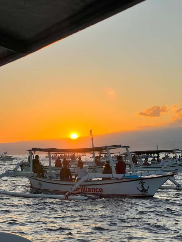 North Bali: Dolphins, Munduk Waterfall, and Twin Lakes Tour - Key Points