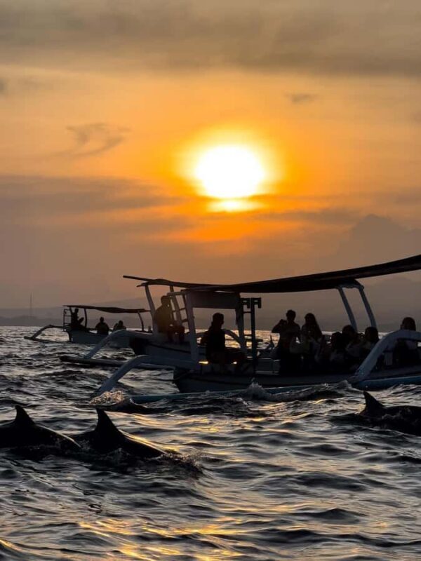 North Bali: Dolphins, Munduk Waterfall, and Twin Lakes Tour - FAQs