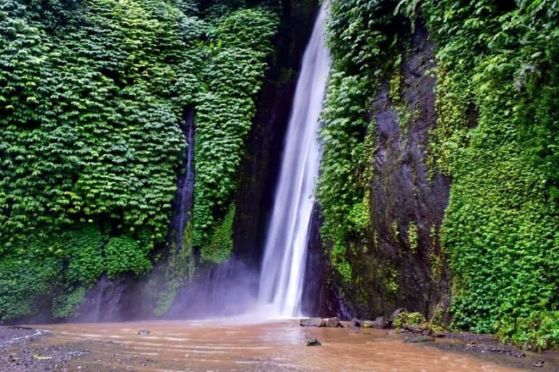 North Bali: Explore Munduk Waterfall Trekking Experience - Key Points