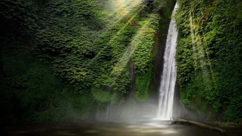 North Bali: Explore Munduk Waterfall Trekking Experience - An In-Depth Look at the Munduk Waterfall Trekking Experience