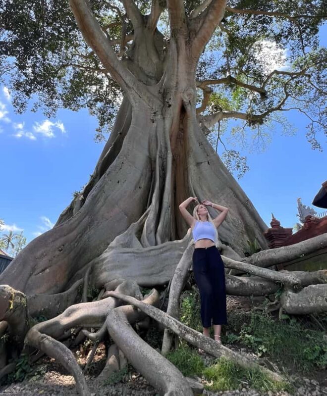 North Bali Explorer: Bayan Ancient Trees & Holy Ritual Tour - The Practicalities: What to Expect