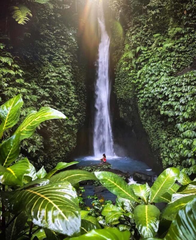 North Bali Explorer: Bayan Ancient Trees & Holy Ritual Tour - Final Thoughts