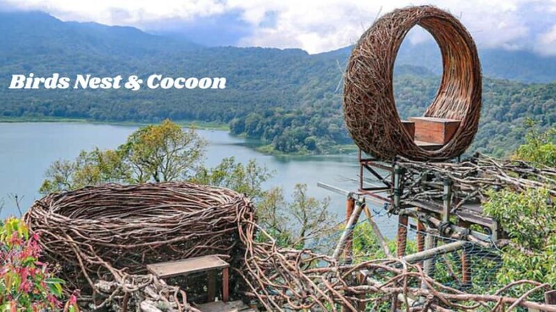 North Bali: Full Day "INSTAGRAM HIGHLIGHTS tour" - Key Points