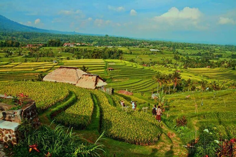 North Bali Grand Tour with Local Guide - Key Points