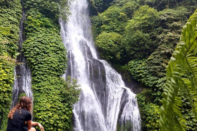 North Bali Hidden Gems Tour Ulun Danu Temple Twin Lakes Waterfall - An In-Depth Look at the Tour Itinerary