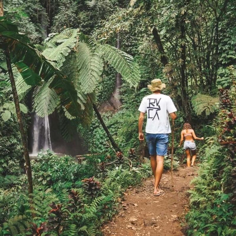 North Bali: Monkey Forest -Waterfall- Rice Terrace-Ulun Danu - Key Points