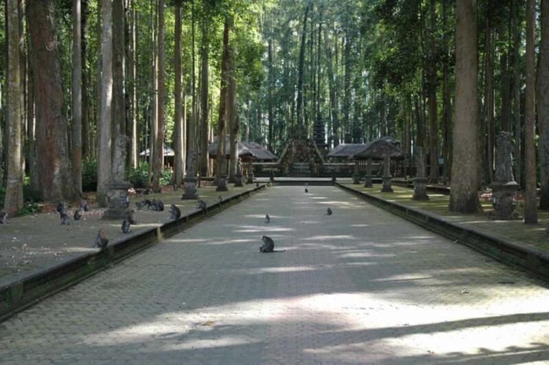 North Bali: Monkey Forest -Waterfall- Rice Terrace-Ulun Danu - Overall Value and Who It’s Best For