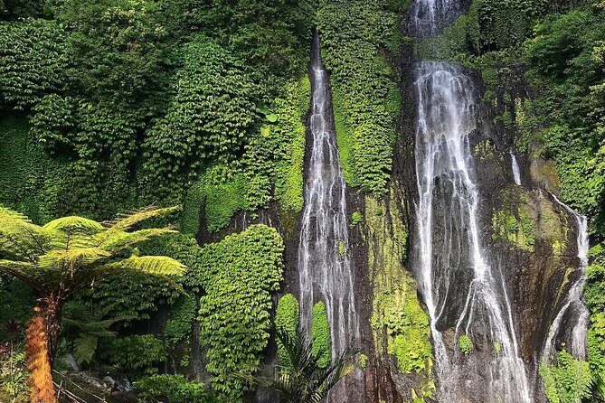 North Bali Private Trip UNESCO Site Lakes Temple and Waterfall - Final Thoughts: Who Will Love This Tour?