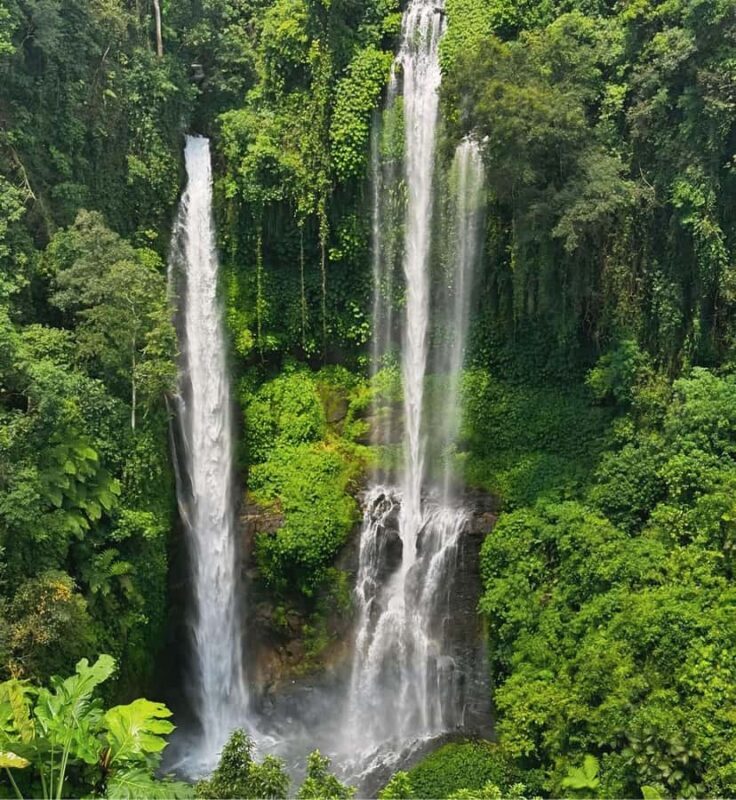 North Bali: Sekumpul and Banyumala Waterfalls & Rice Terrace - Key Points