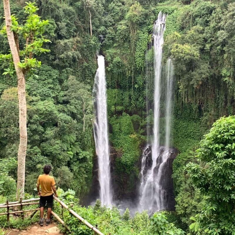 North Bali: Sekumpul and Banyumala Waterfalls & Rice Terrace - Why We Like This Tour