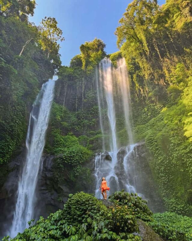 North Bali: Sekumpul and Banyumala Waterfalls & Rice Terrace - Who Will Love This Tour?
