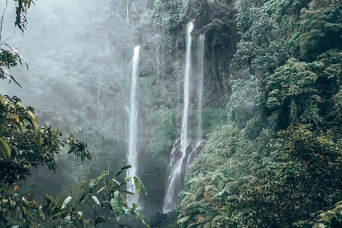 North Bali Sekumpul and Banyumala Waterfalls with Rice Terraces - The Sum Up: Who Will Love This Tour?