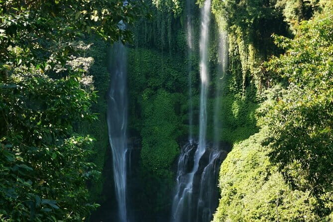 North Bali Sekumpul Waterfall, Banyumala Waterfall & Temple Tour - A Detailed Look at the Tour Experience