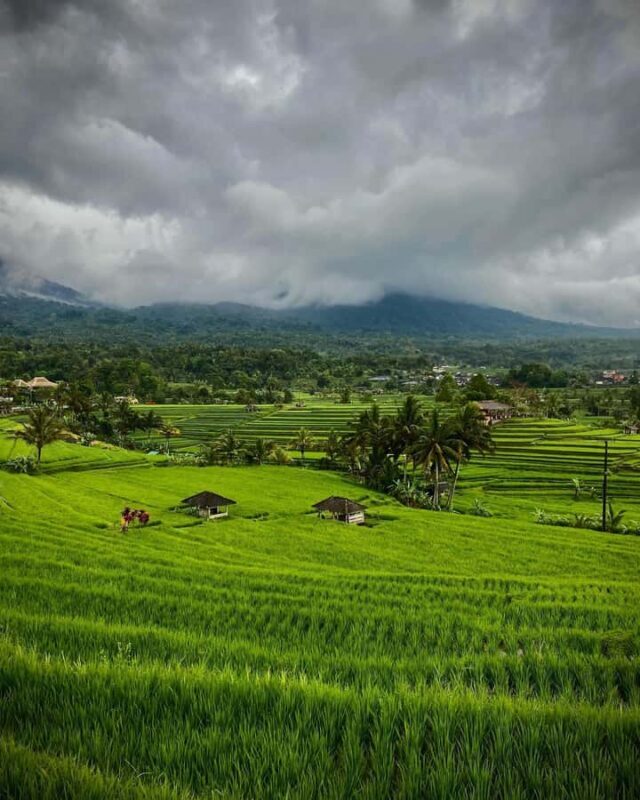 North Bali: Taman Ayun Temple, Jatiluwih, Campuhan Waterfall - A Closer Look at the North Bali Experience