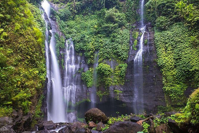 North Bali Tour: Banyumala Waterfall & Wanagiri Hidden Hills - A Detailed Look at the North Bali Experience