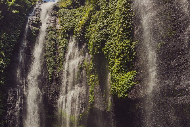 North Bali Tour with Twin Waterfalls and Temple - Authentic Feedback from Travelers