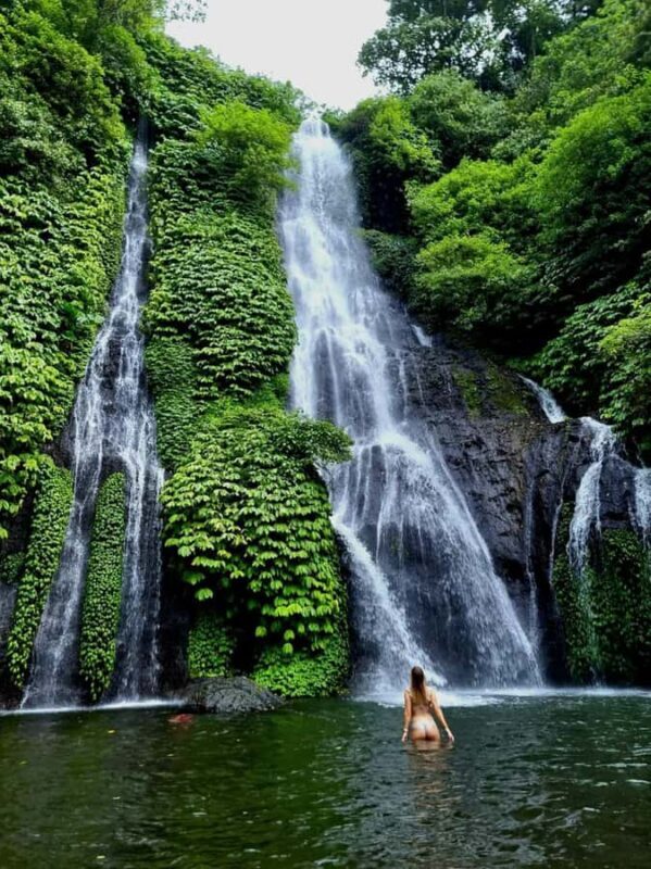North Bali Trip with 2 Hidden Waterfalls Private Tour - Key Points