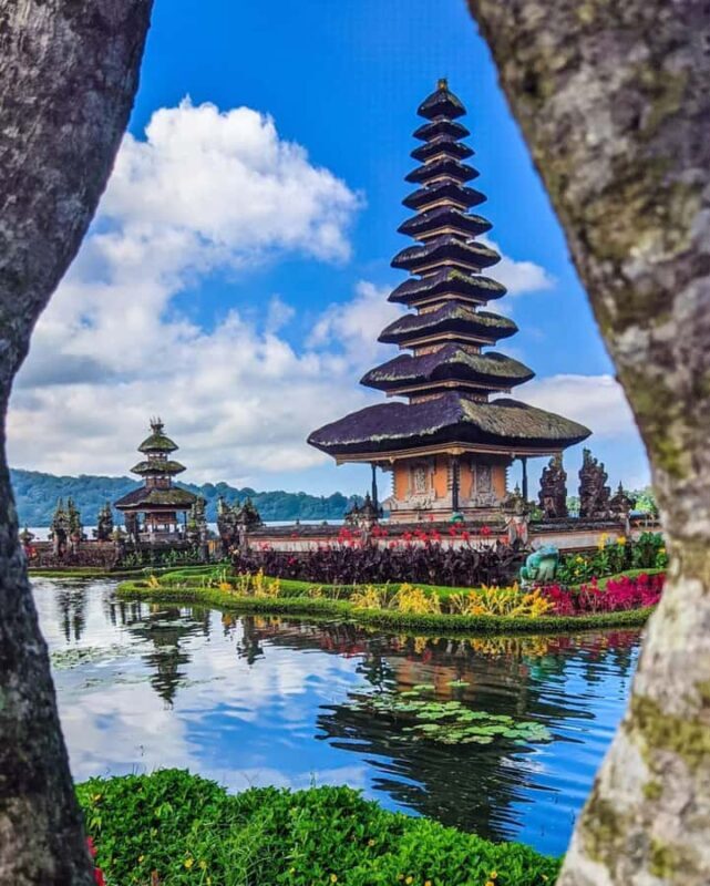 North Bali: Ulun Danu, Waterfalls, Swing and Monkey Forest - The Transport and Guide Experience