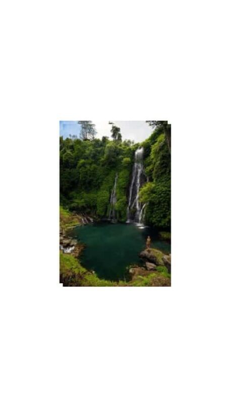 North Bali: Walking on the expanse of jati luwih rice fields - Key Points