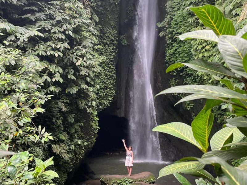 NORTH BALI WATERFALL AND TEMPLE TOUR - The Value of This Tour