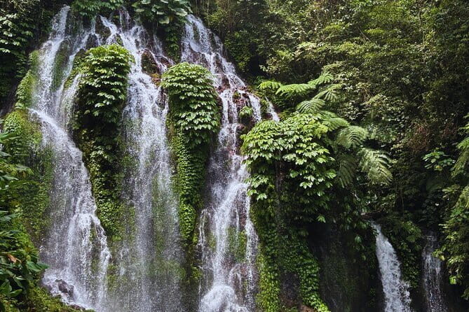 North Bali Waterfall Enthusiast Private Tour - An Authentic Day in North Bali