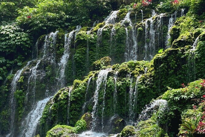 North Bali Waterfall Enthusiast Private Tour - The Practicalities
