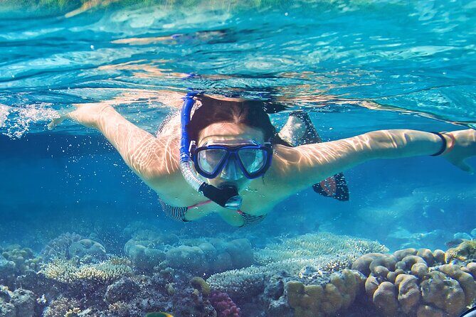 North Bay Snorkel - What to Expect from the Tour: A Detailed Breakdown