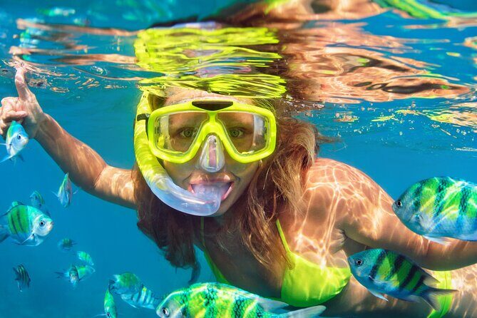 North Bay Snorkel - Who Will Love This Experience?