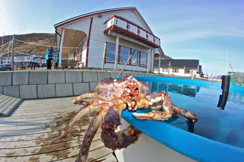 North Cape and King Crab Tour with Sámi Camp Tour - Key Points