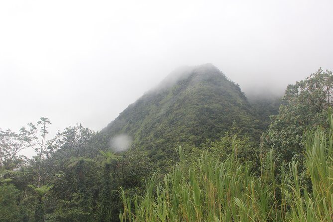 North Caribbean Tour in Martinique - The Itinerary in Detail: What You’ll Experience