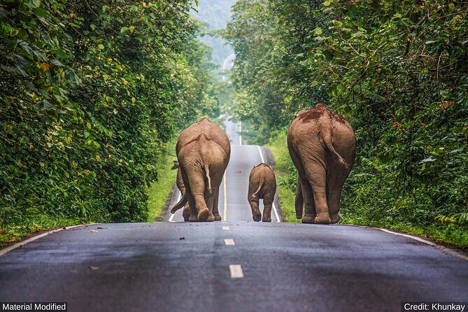 North & Central Thailand: See it ALL in 12 Days, 1st Class Tours - FAQs