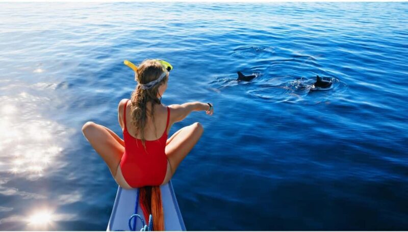 North Coast Dolphins Sunrise Adventure Tour - The Itinerary in Detail