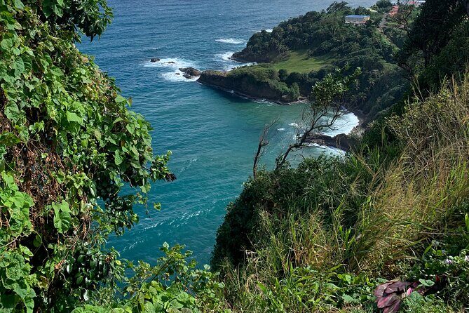 North Coast Dominica Sightseeing Day Tour - The Itinerary: What to Expect on the Day