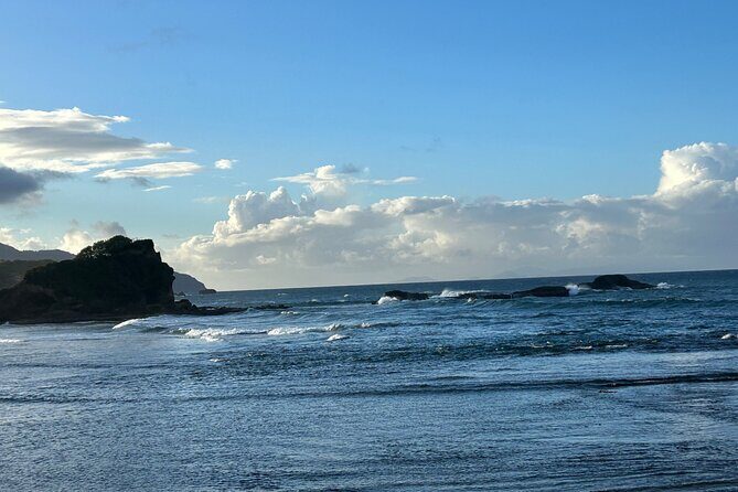 North Coast Dominica Sightseeing Day Tour - What Past Travelers Say