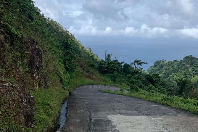 North Coast Dominica Sightseeing Day Tour - Who Should Consider This Tour?