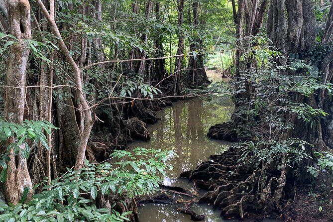 North Coast Dominica Sightseeing Day Tour - The Sum Up
