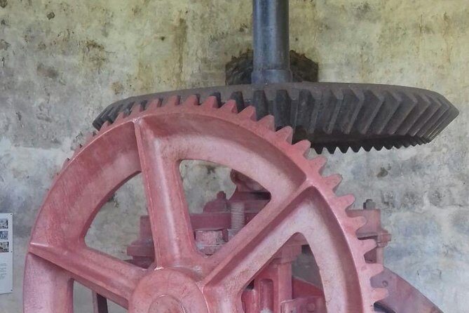 North Coast Tour - The Experience and Group Dynamics