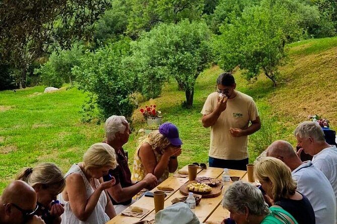 North Corfu Olive Tour With Olive oil Tasting & Meze - Final Takeaways