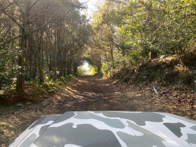 North-East Madeira Jeep Safari Tour for the Nature Lovers - Introduction: What to Expect from the North-East Madeira Jeep Safari