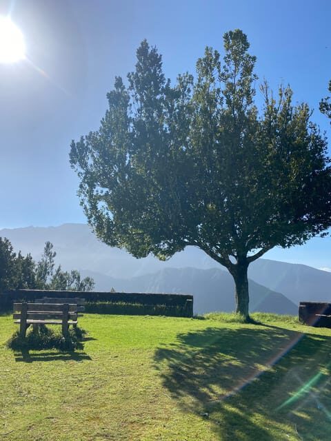 North-East Madeira Jeep Safari Tour for the Nature Lovers - The Sum Up: Is This Tour Right for You?