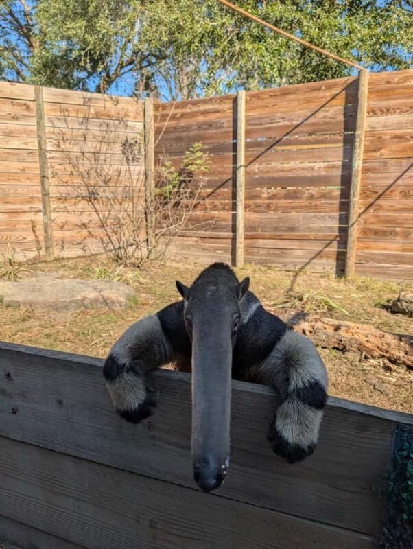 North Florida Wildlife Center General Admission - Is This Tour Worth the Price?