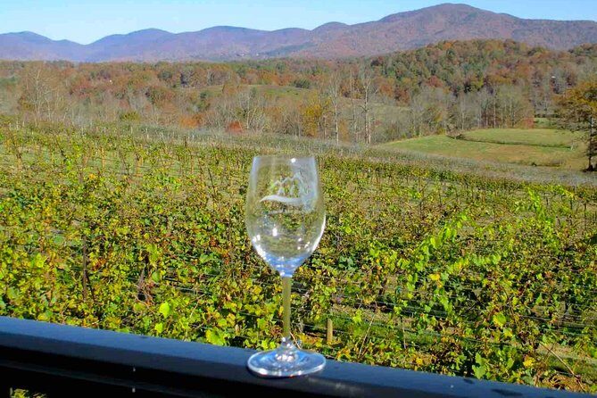 North Georgia Wine Country Tour from Atlanta - What Makes This Tour Stand Out