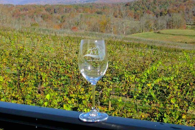 North Georgia Wine Country Tour from Atlanta - Frequently Asked Questions