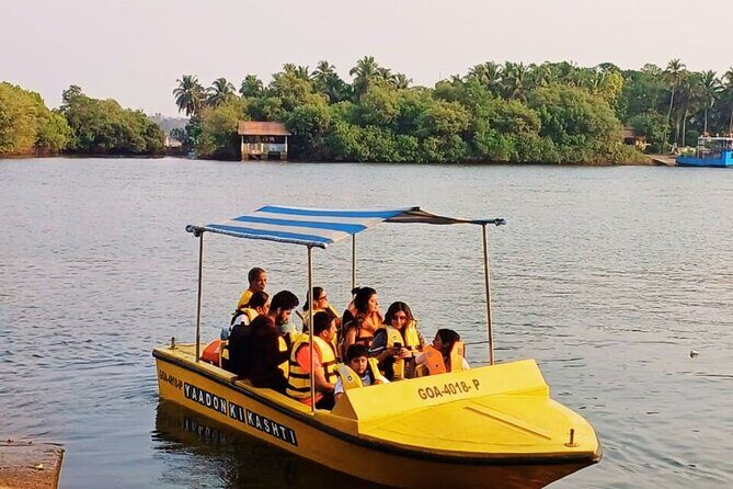 North Goa Island Backwaters: Scenic Boat Cruise & Nature Tour - Introduction: An Authentic Taste of Goa’s Hidden Side