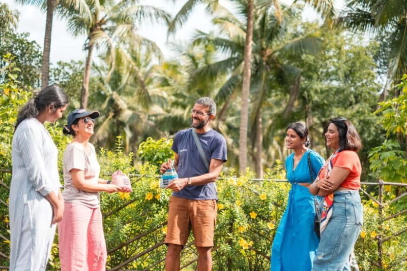 North Goa: Mulgao Village and Coconut Farming Experience - Key Points