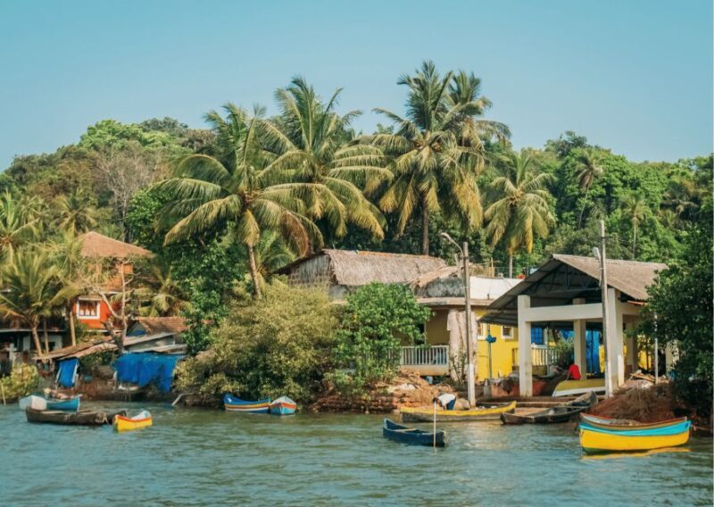 North Goa with Divar Island (Guided Full Day City Tour) - Who Will Find This Tour Most Valuable?